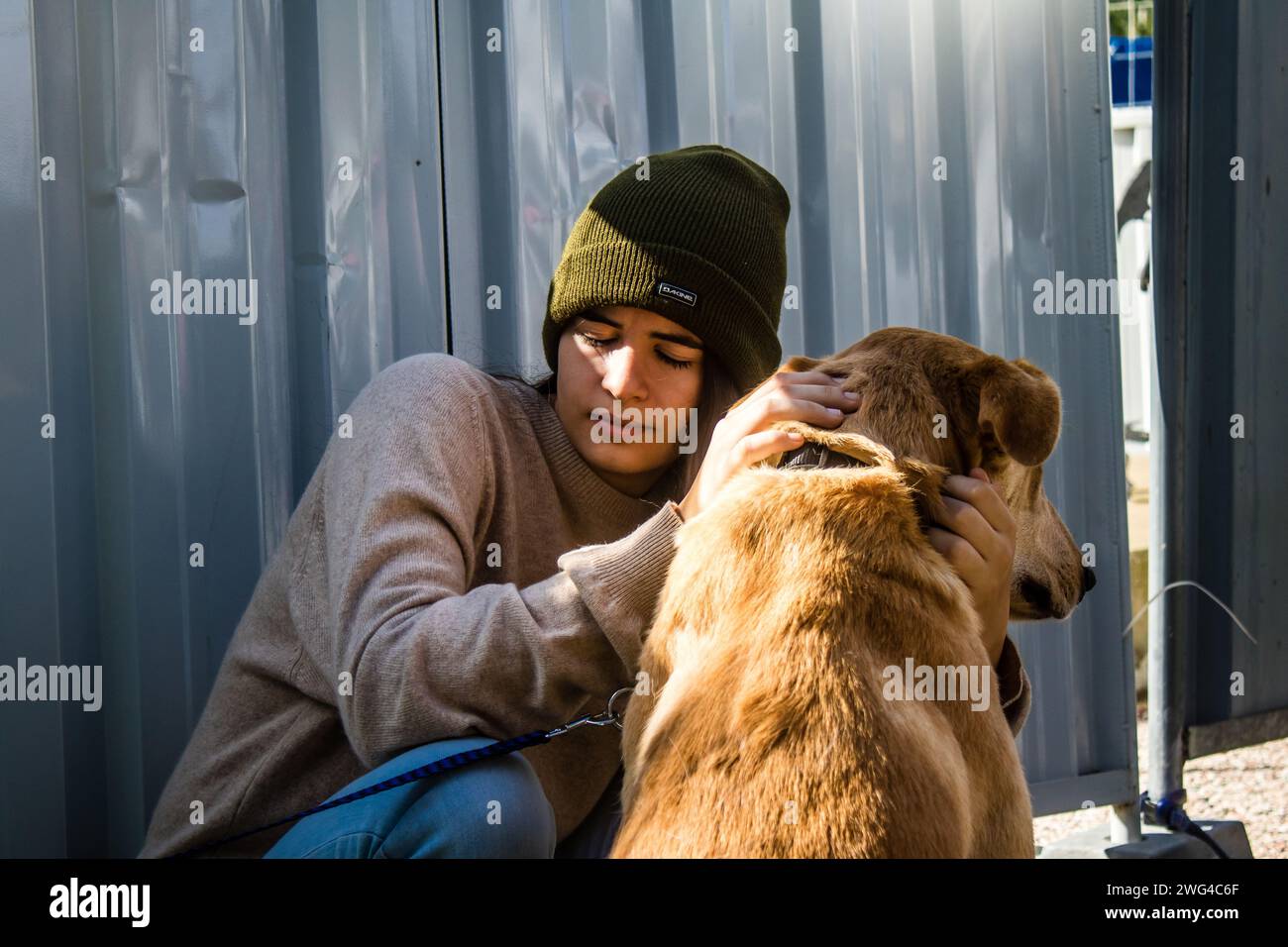 Tel Aviv, Israel – February 2, 2024 Volunteers from the SOS Animals ...