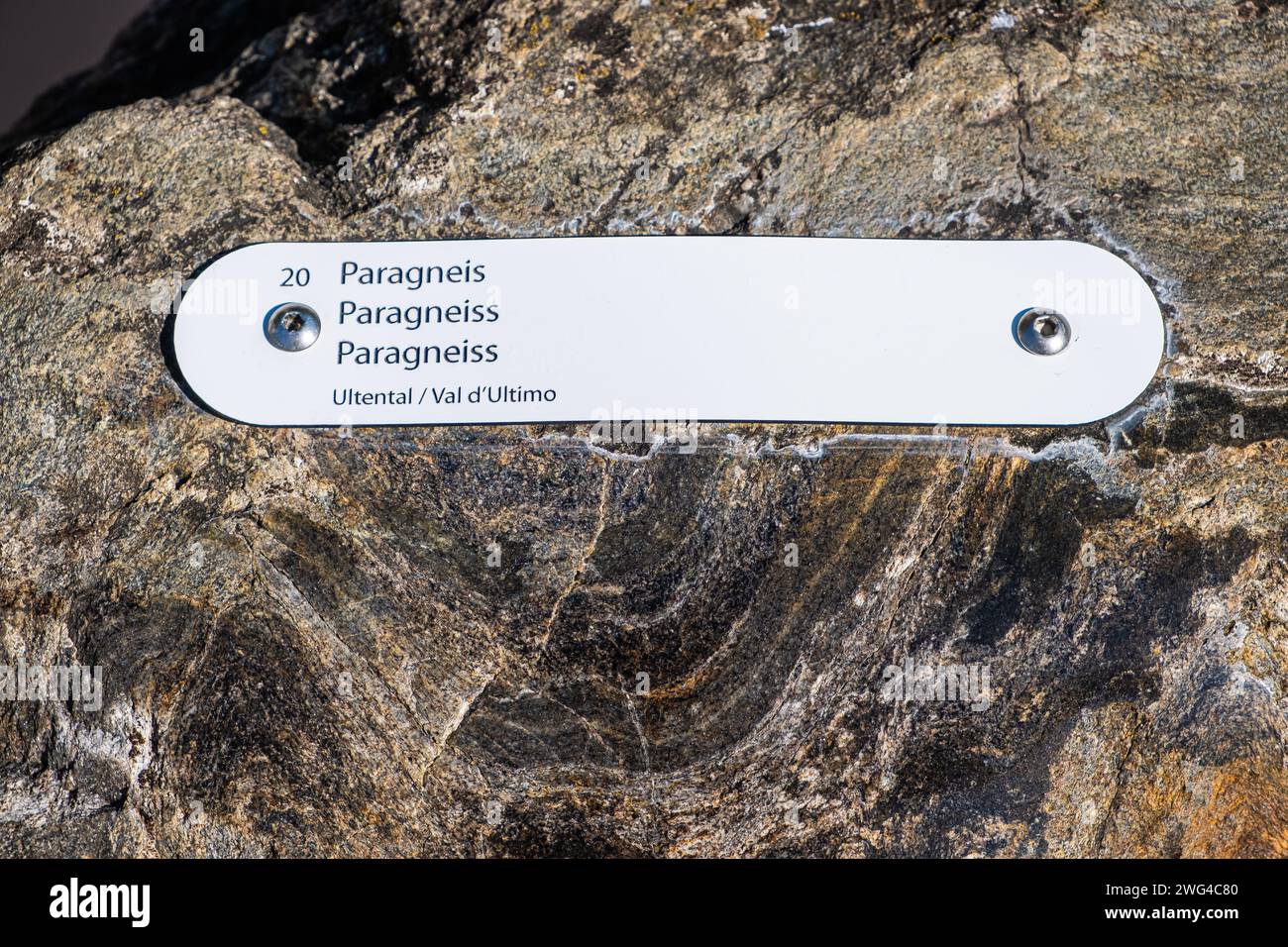 Paragneiss rock (sedimentary rock) from d'Ultimo Valley, South Tyrol ...