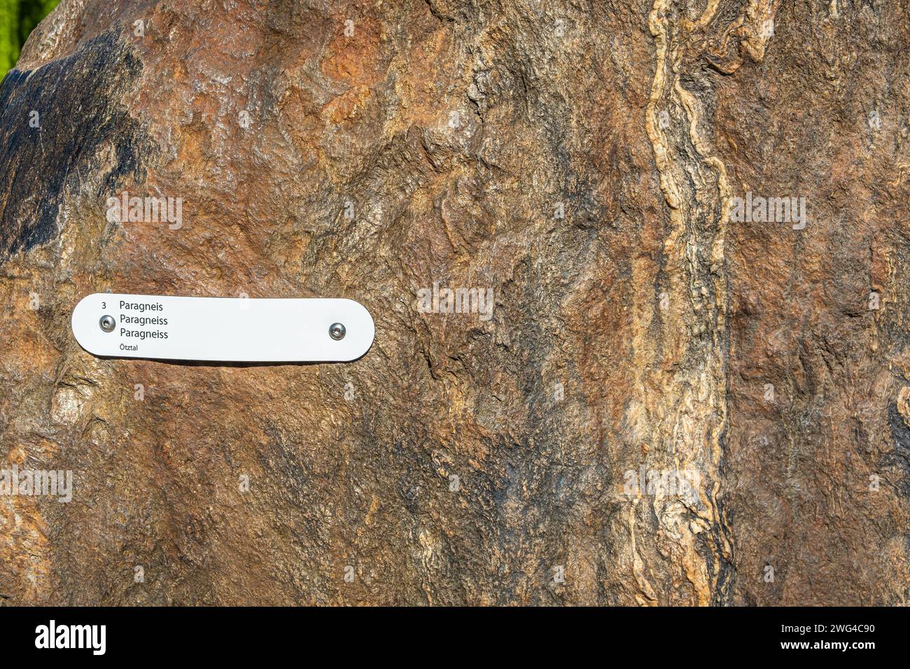 Paragneiss rock (sedimentary rock) from Otzal Valley, South Tyrol ...