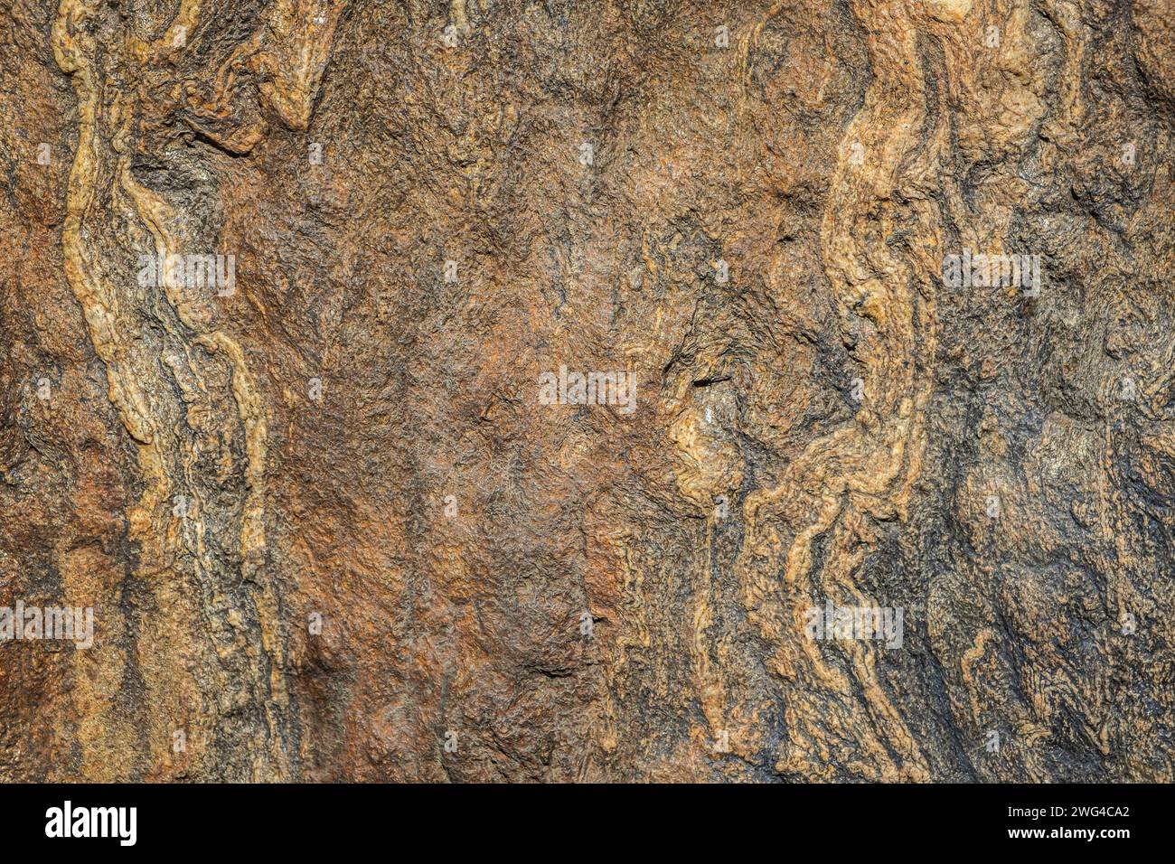 Paragneiss rock (sedimentary rock) from Otzal Valley, South Tyrol ...