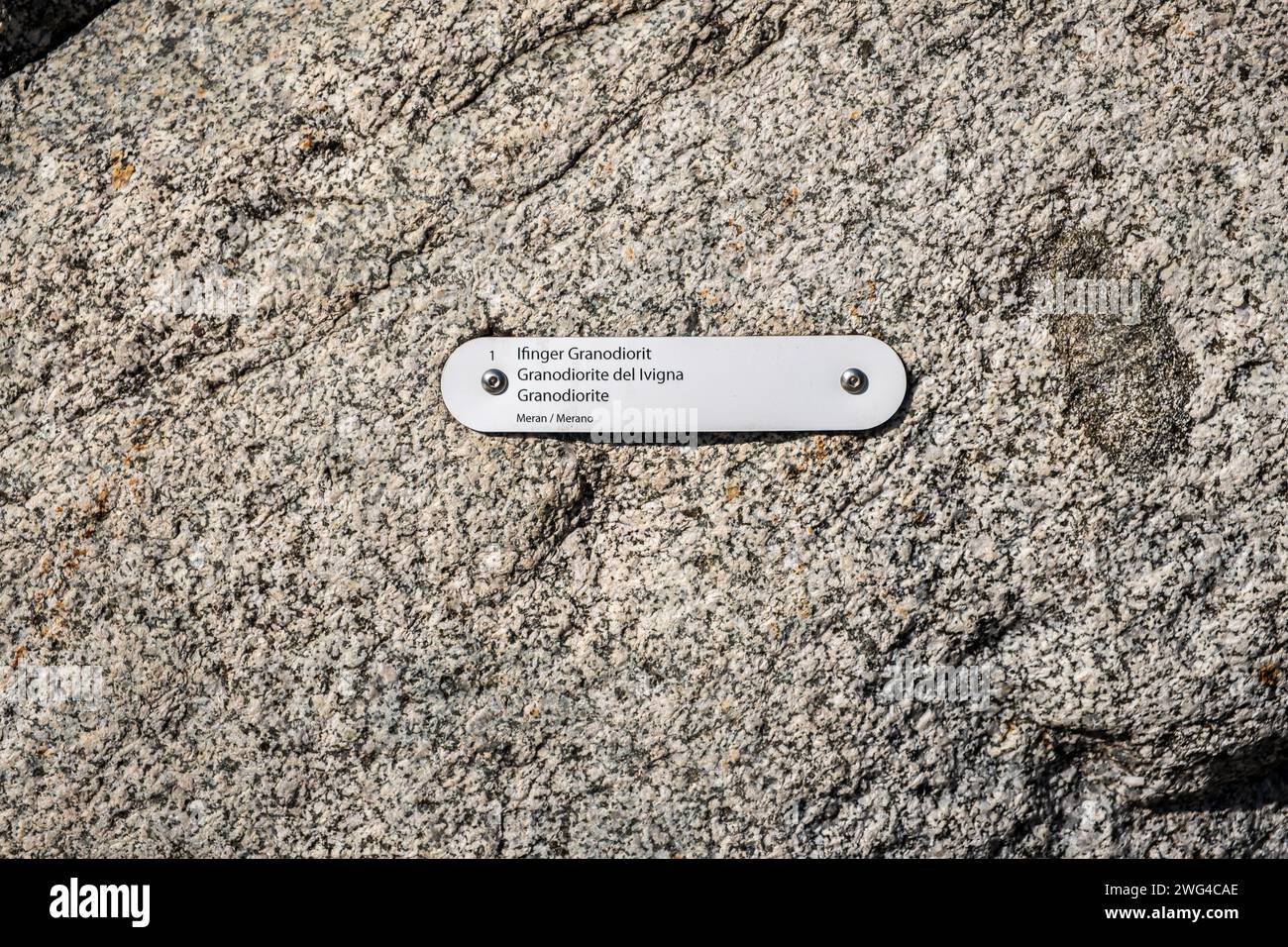 granodiorite del Ivigna rock (igneous rock) from Merano, South Tyrol ...