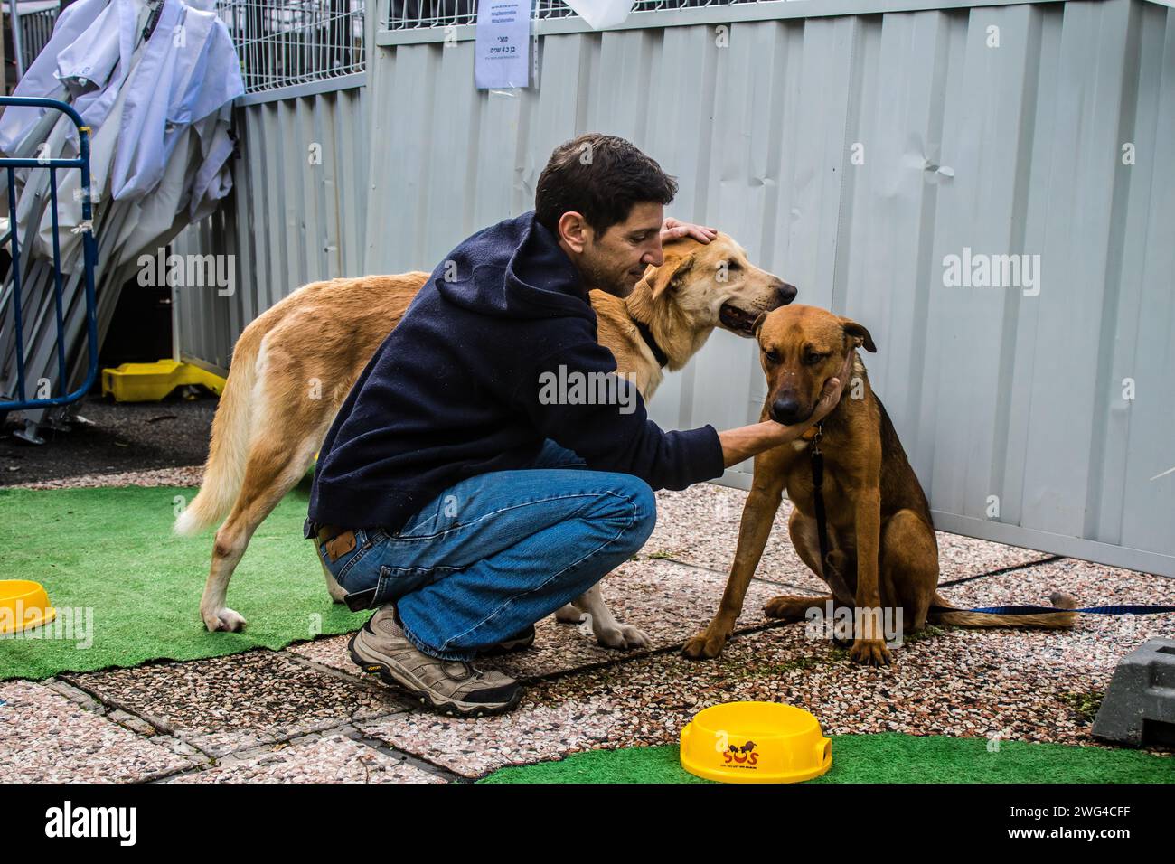 Tel Aviv, Israel – February 2, 2024 Volunteers from the SOS Animals ...