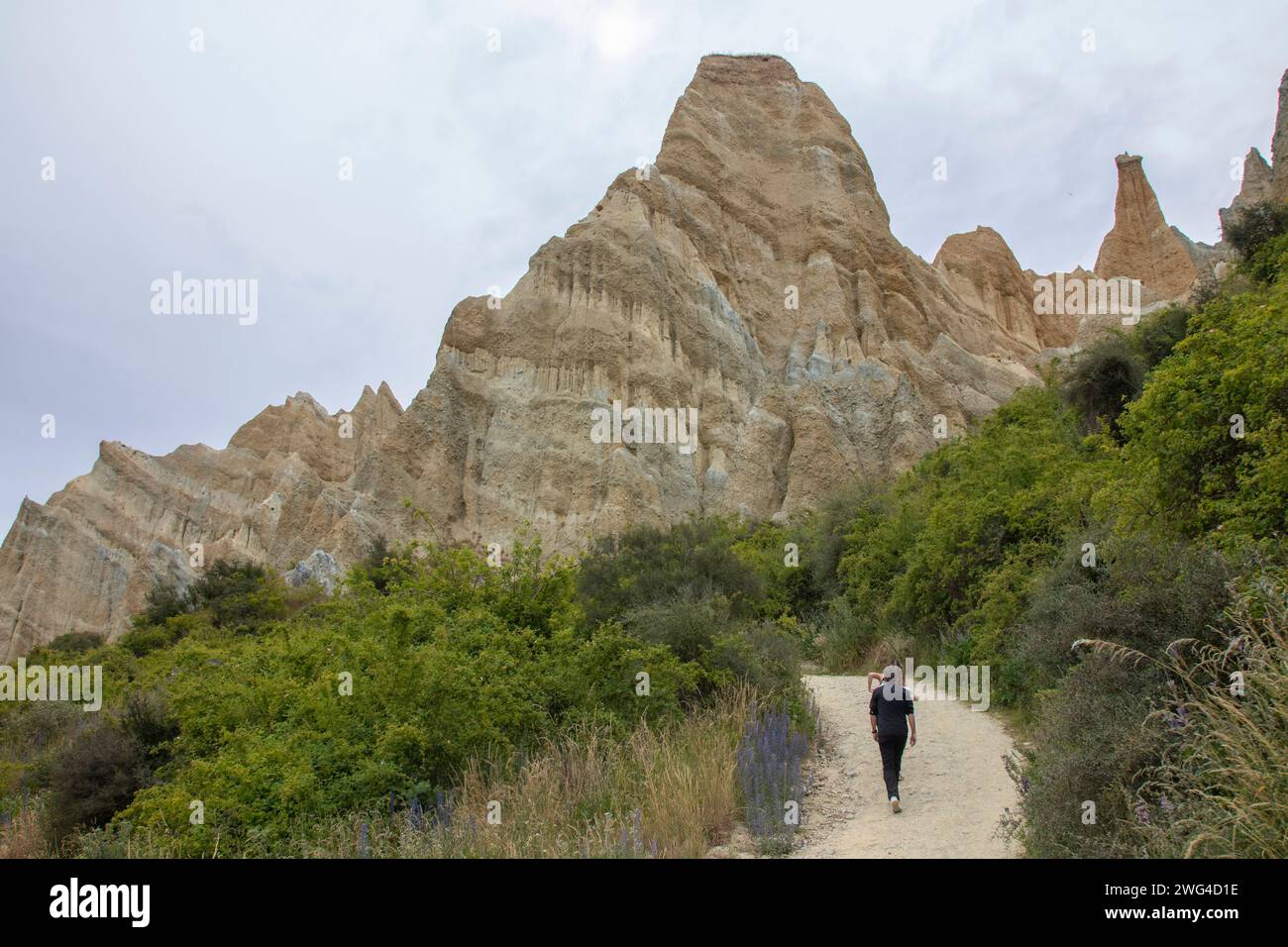 The Clay Cliffs are a stark sight - tall pinnacles separated by narrow ...