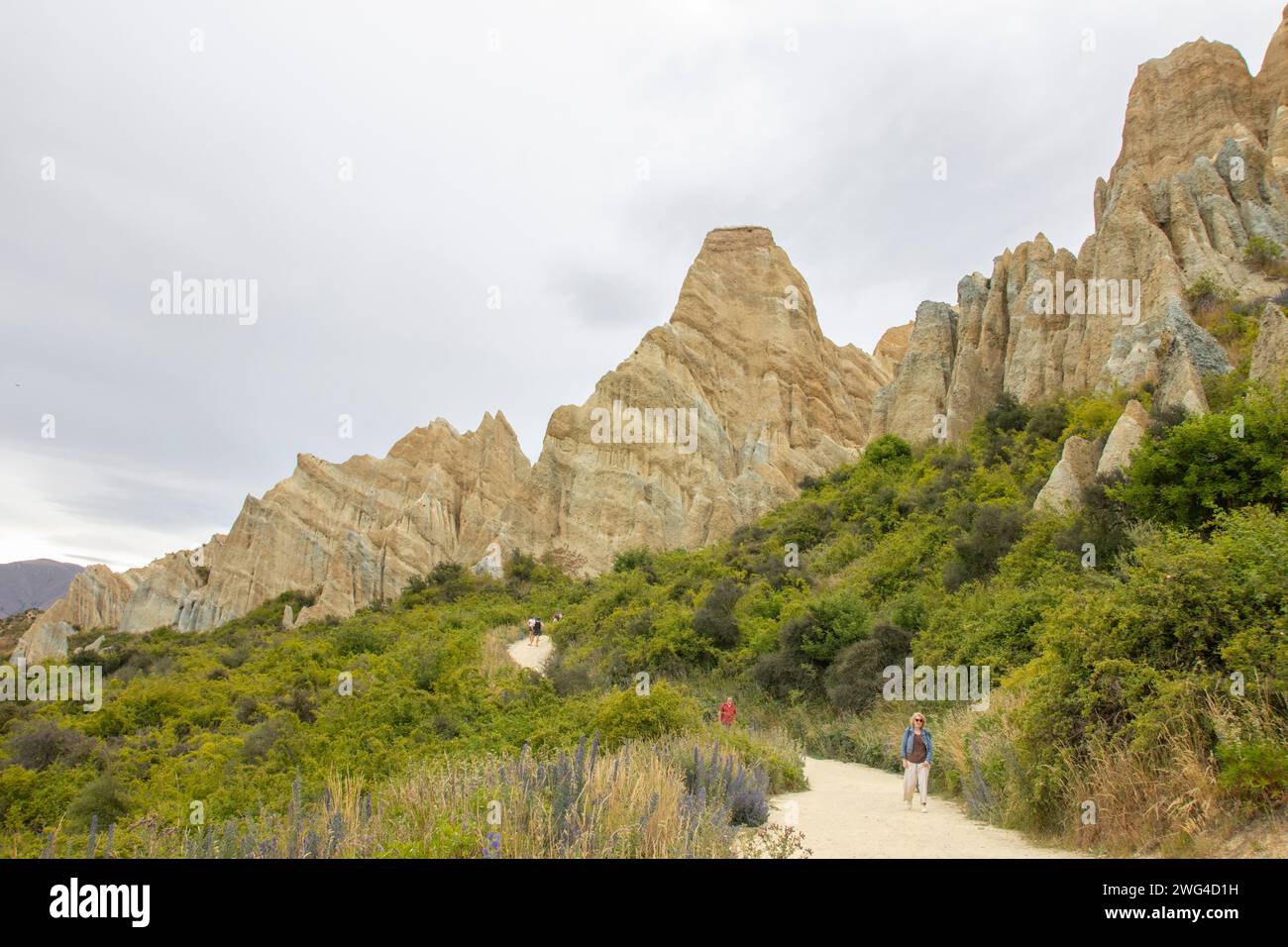 The Clay Cliffs are a stark sight - tall pinnacles separated by narrow ...