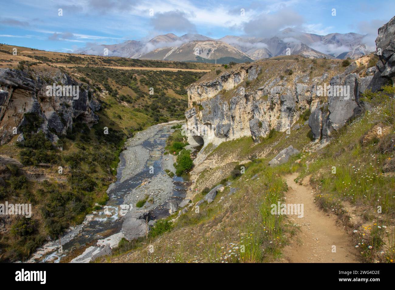 Cave Stream Scenic Reserve tracks and cave walk at New Zealand Stock ...
