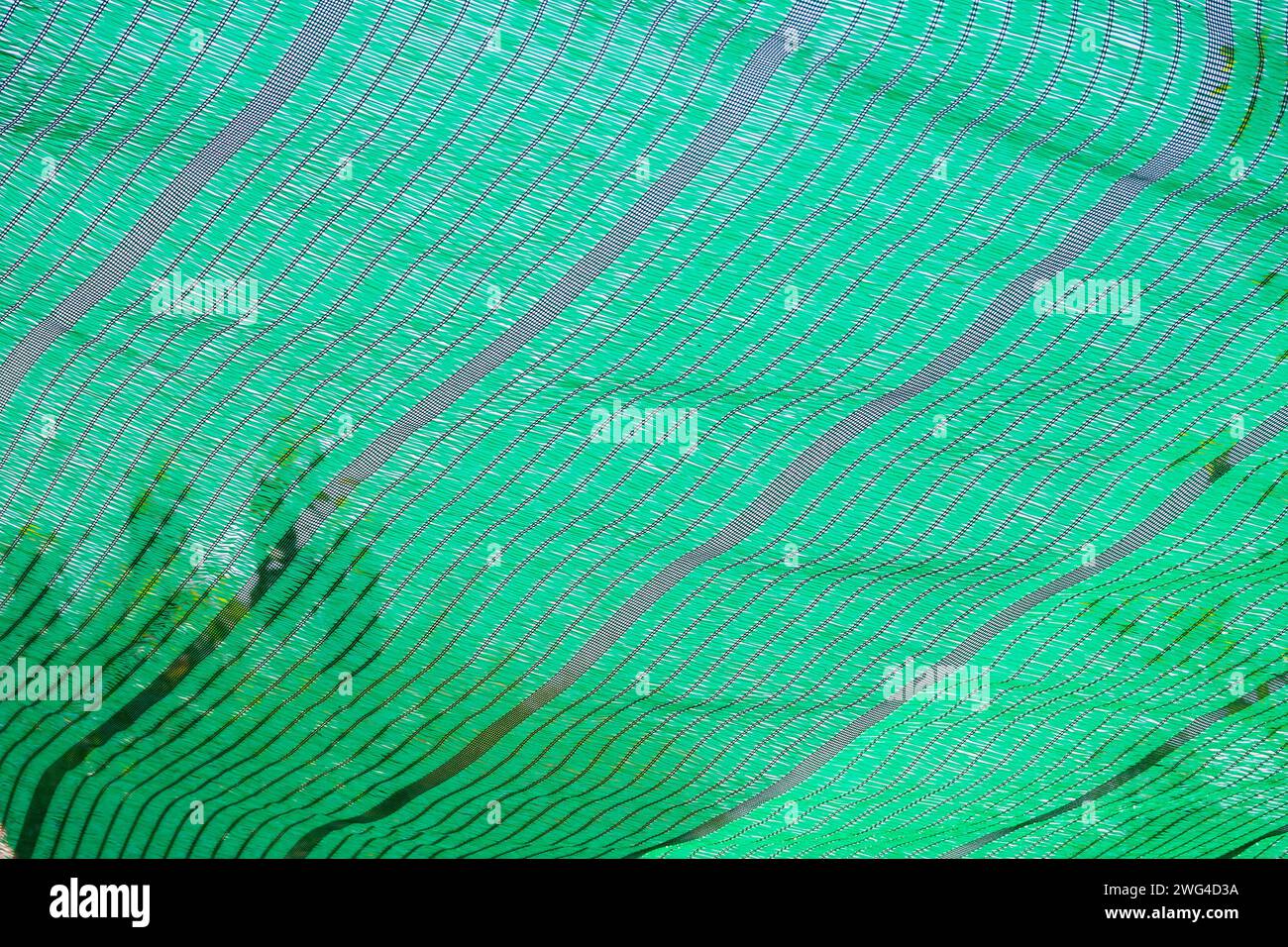 Green Shading Net protect sun light Stock Photo - Alamy