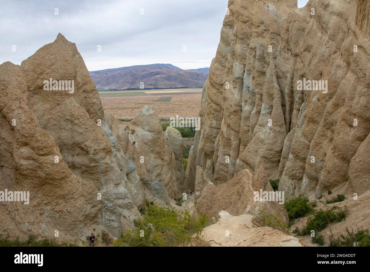 The Clay Cliffs are a stark sight - tall pinnacles separated by narrow ...