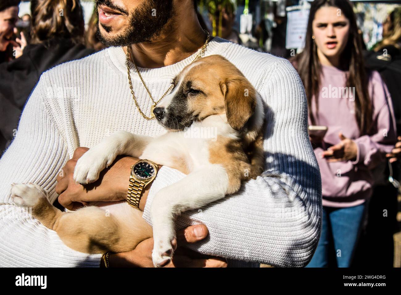 Tel Aviv, Israel – February 2, 2024 New owner of dog from the SOS ...