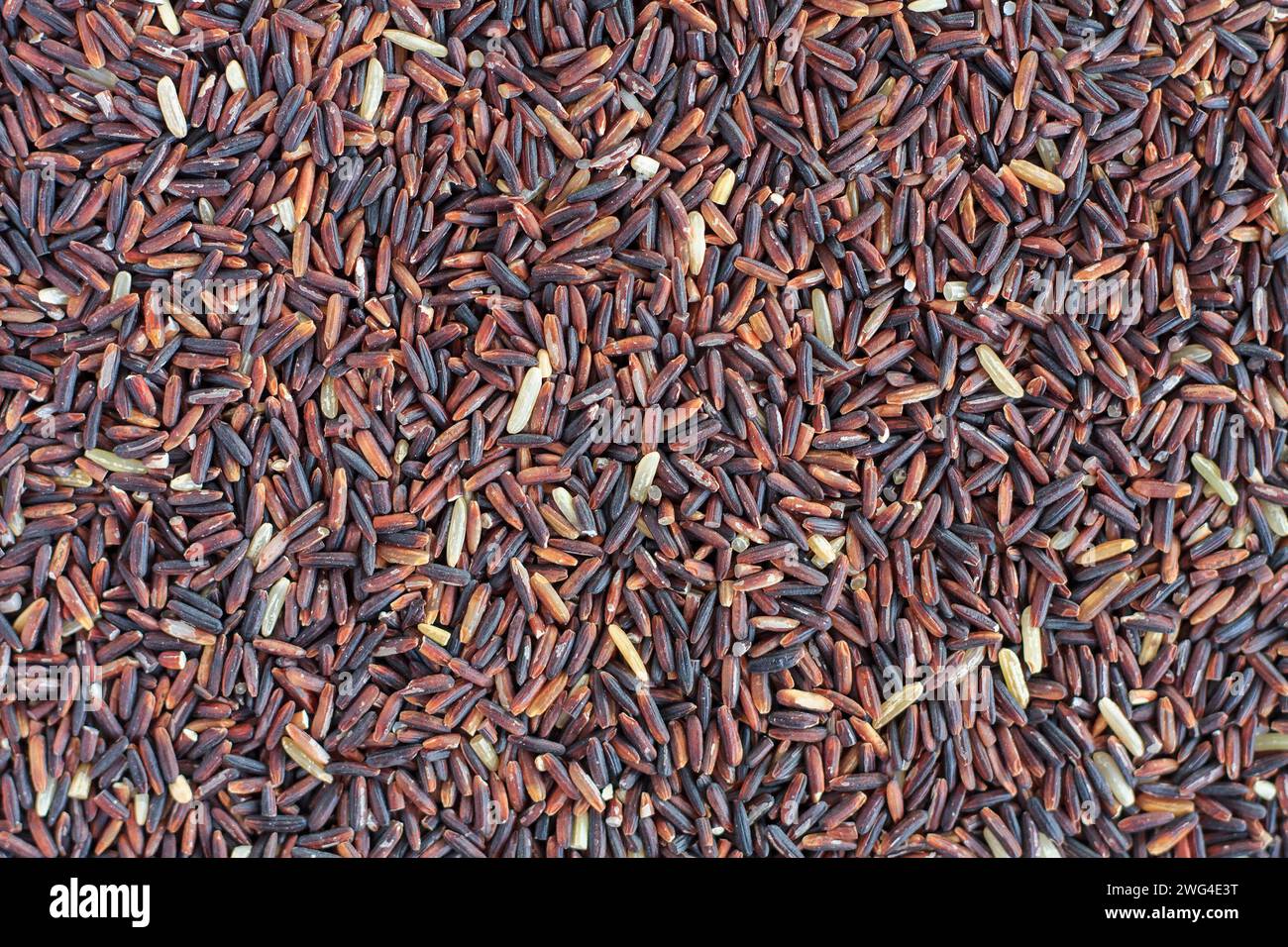 Black jasmine rice rice berry hi-res stock photography and images - Alamy