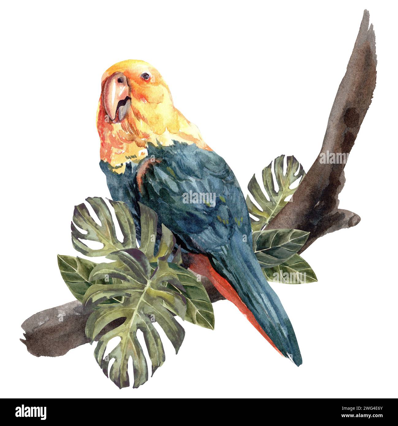 Vintage watercolor illustration with a yellow parrot among tropical ...