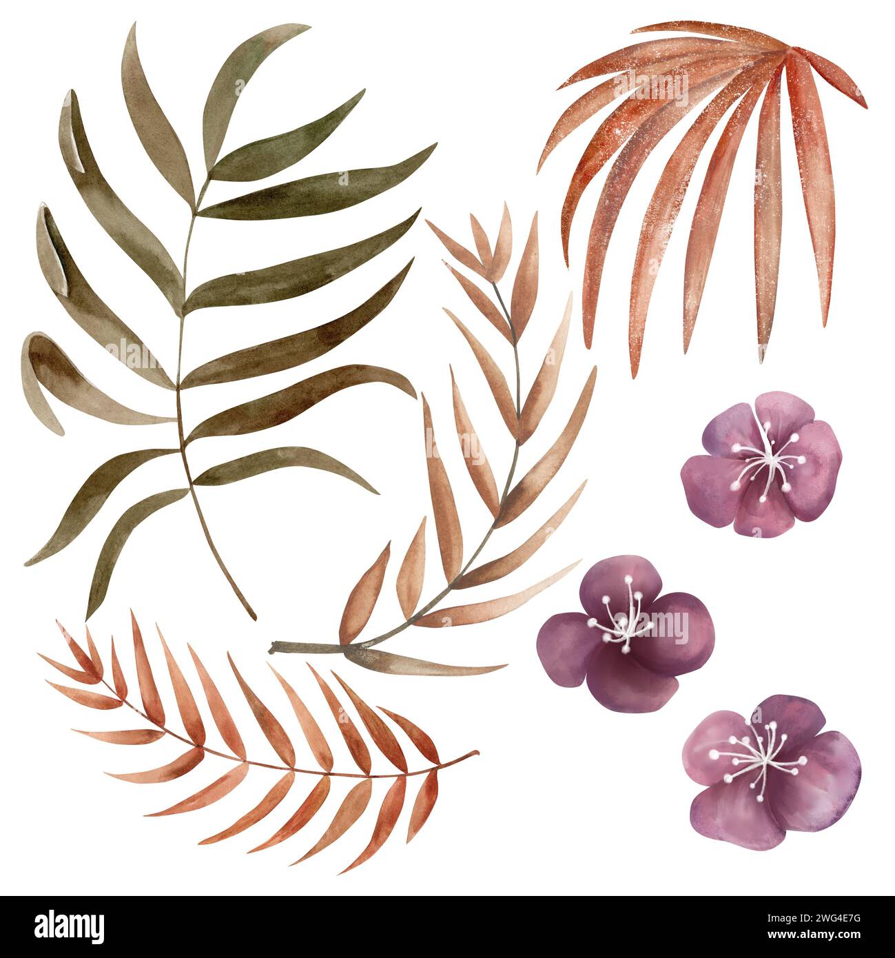 Set of watercolor tropical leaves and flowers on a white background ...