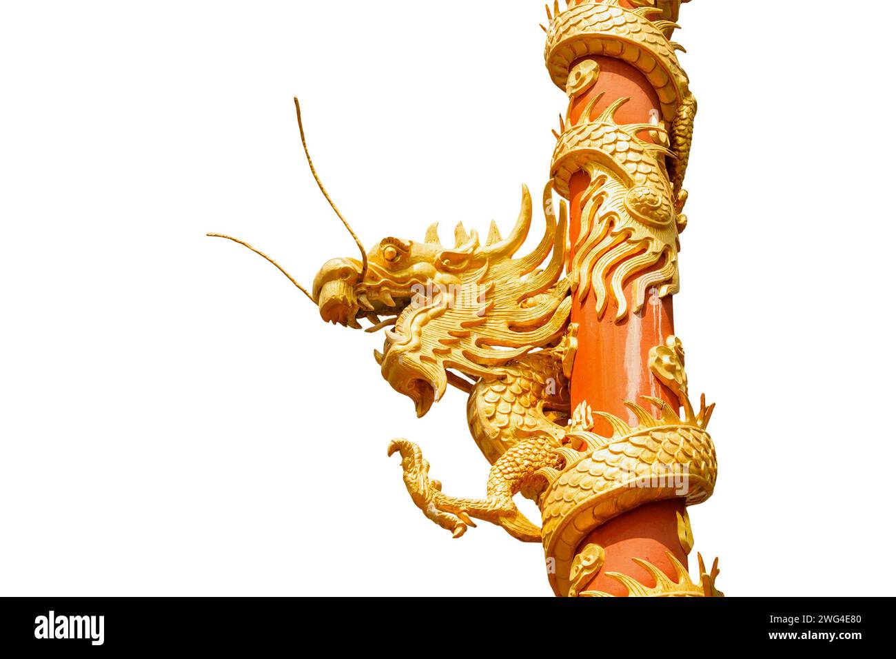 Golden dragon statue isolated on white background with paths Stock ...