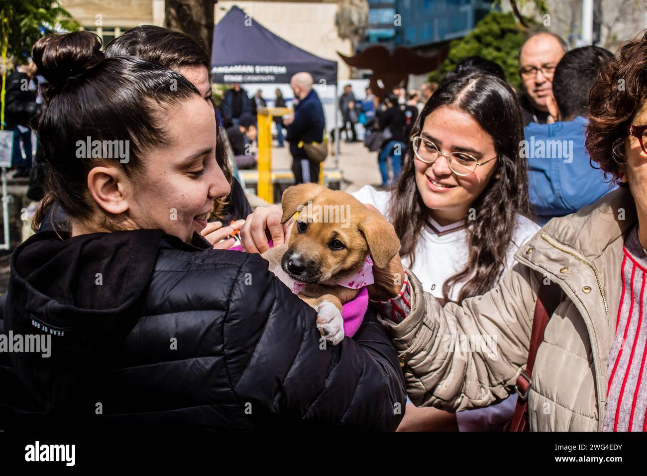 Tel Aviv, Israel – February 2, 2024 New owner of dog from the SOS ...