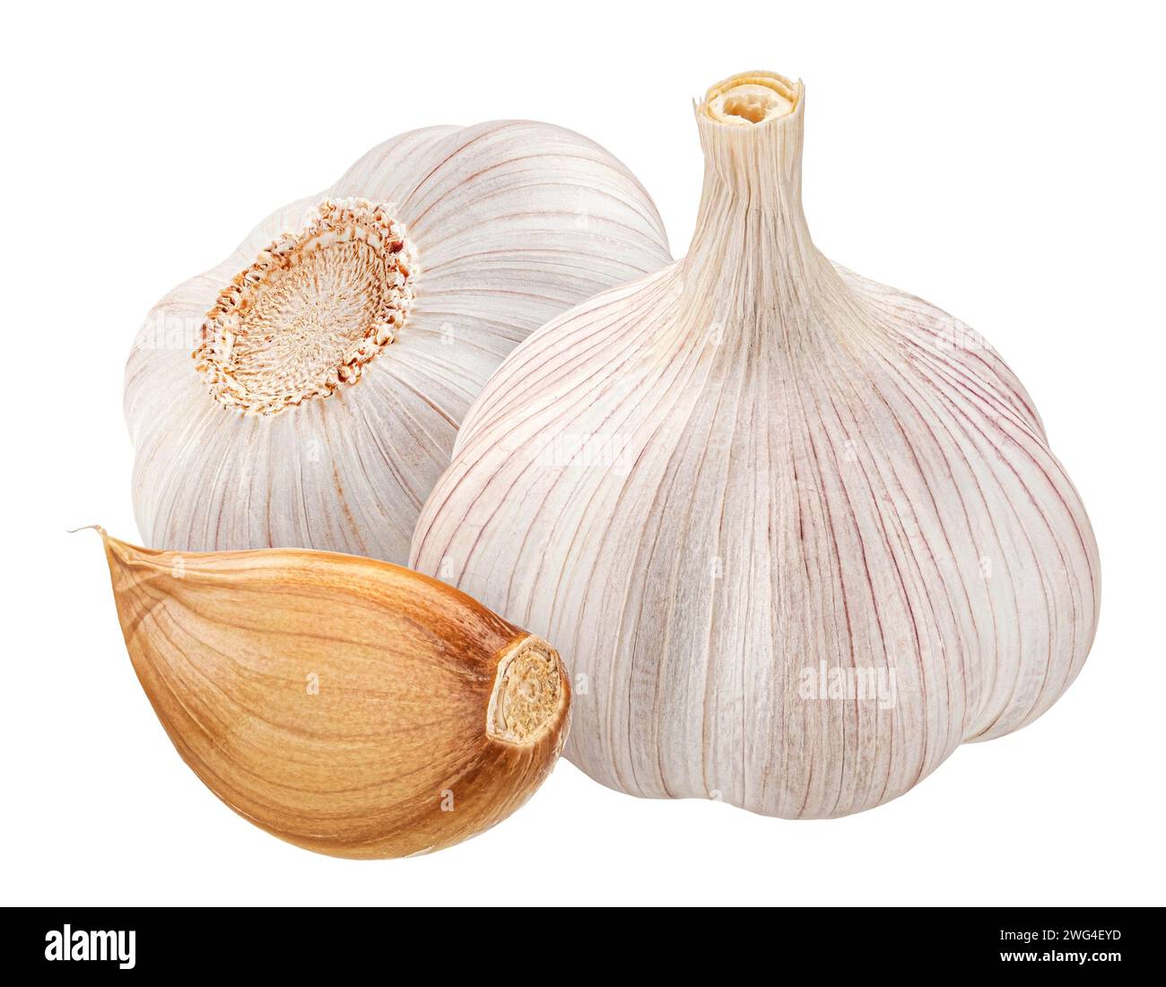 Garlic isolated on white background with clipping path, full depth of ...