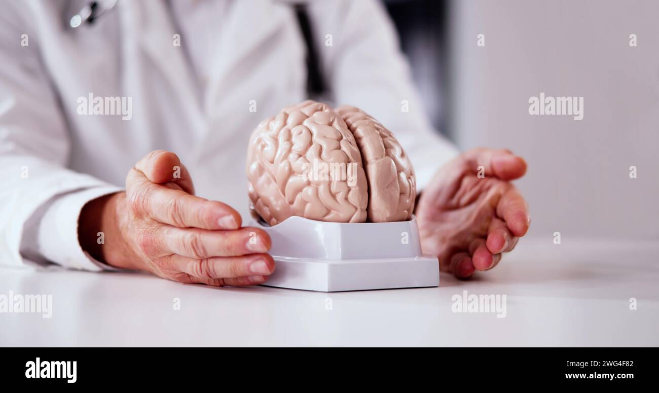 Cognitive rehabilitation hi-res stock photography and images - Alamy