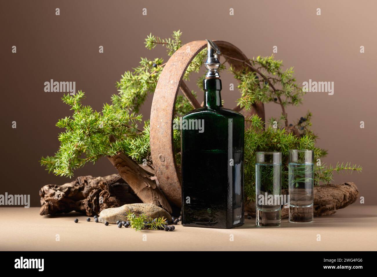 Gin in vintage bottle with rusty iron wheel, old snags, and juniper ...