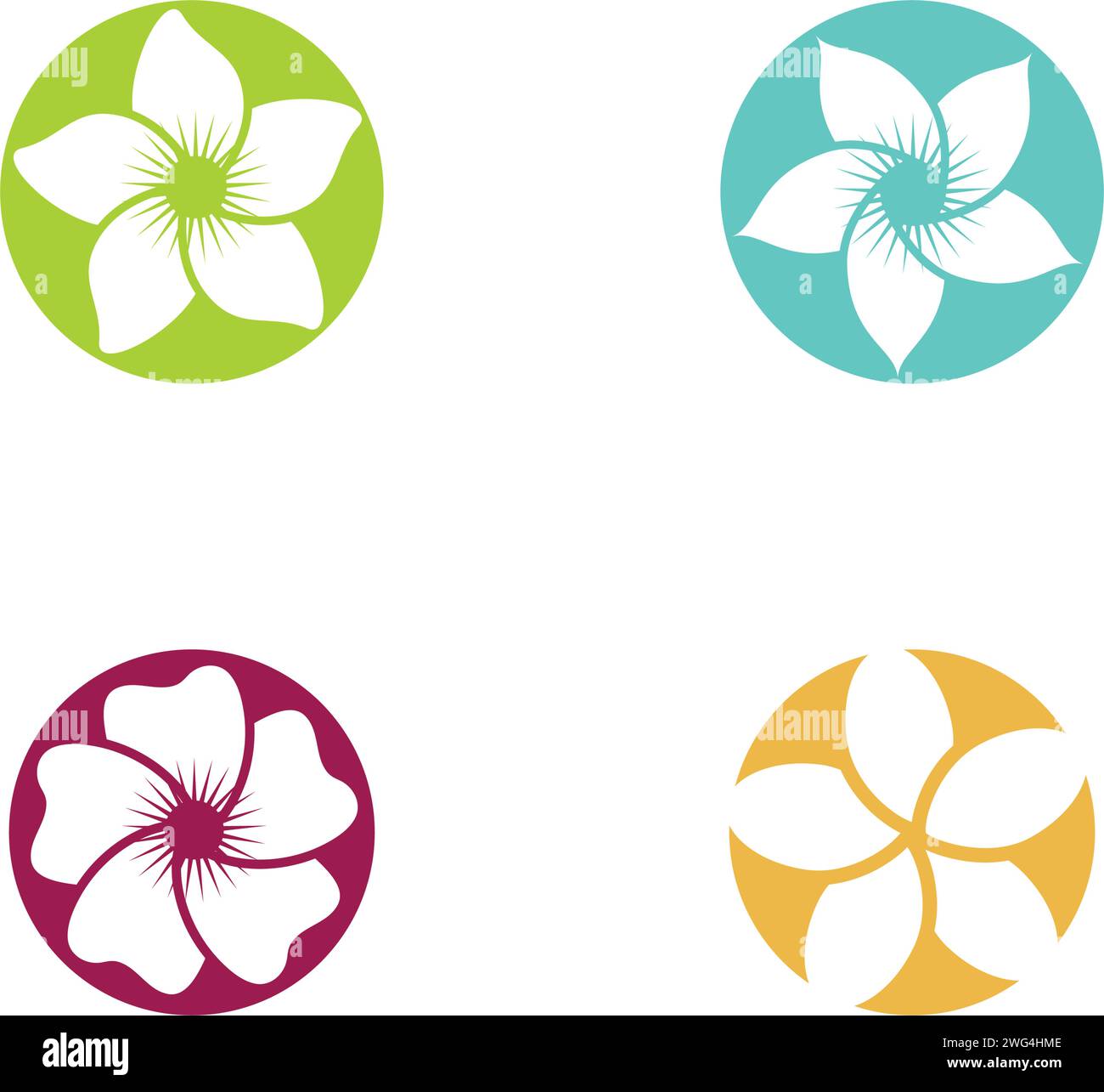 Jasmine flower icon vector illustration design logo template Stock ...