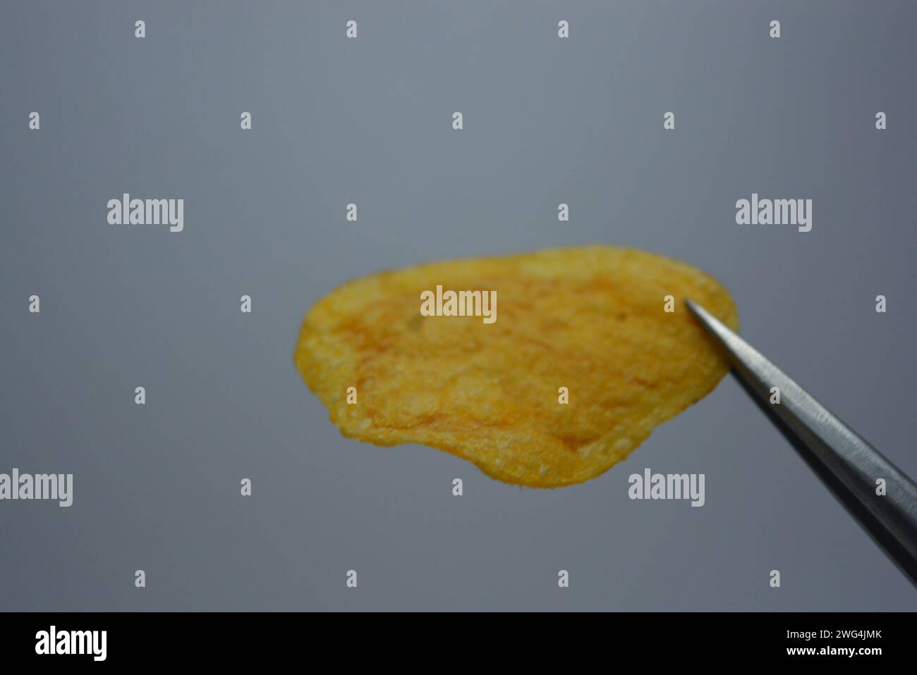 Snacks, fast and unhealthy food. Metallic, thin tweezers hold one salty ...