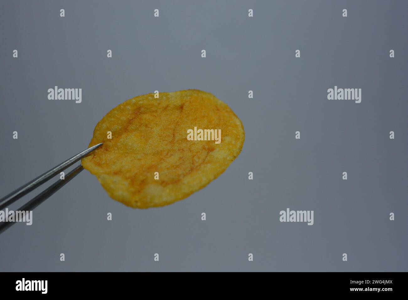 Snacks, fast and unhealthy food. Metallic, thin tweezers hold one salty ...