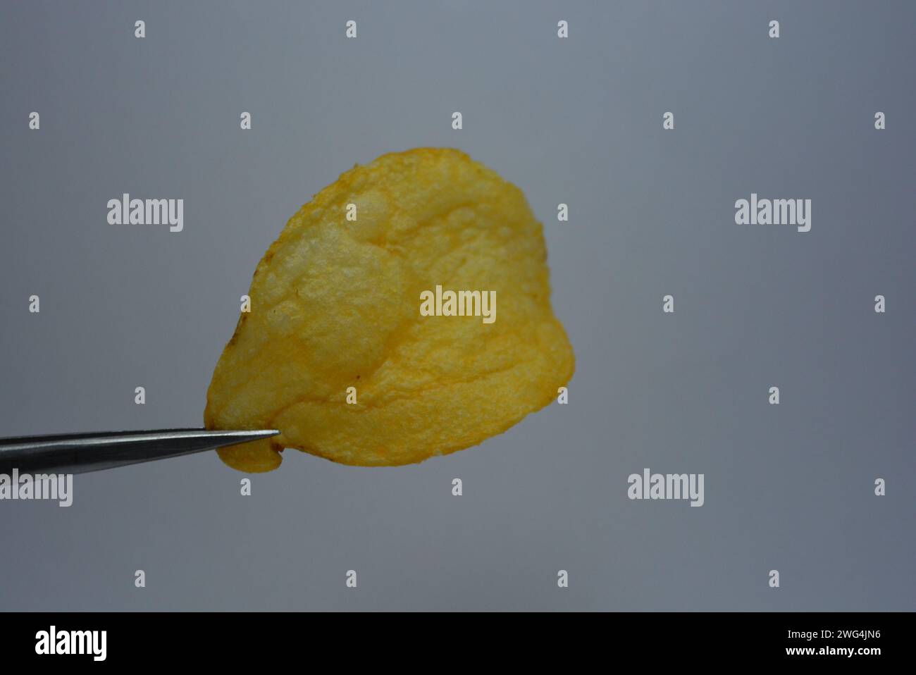 Snacks, fast and unhealthy food. Metallic, thin tweezers hold one salty ...