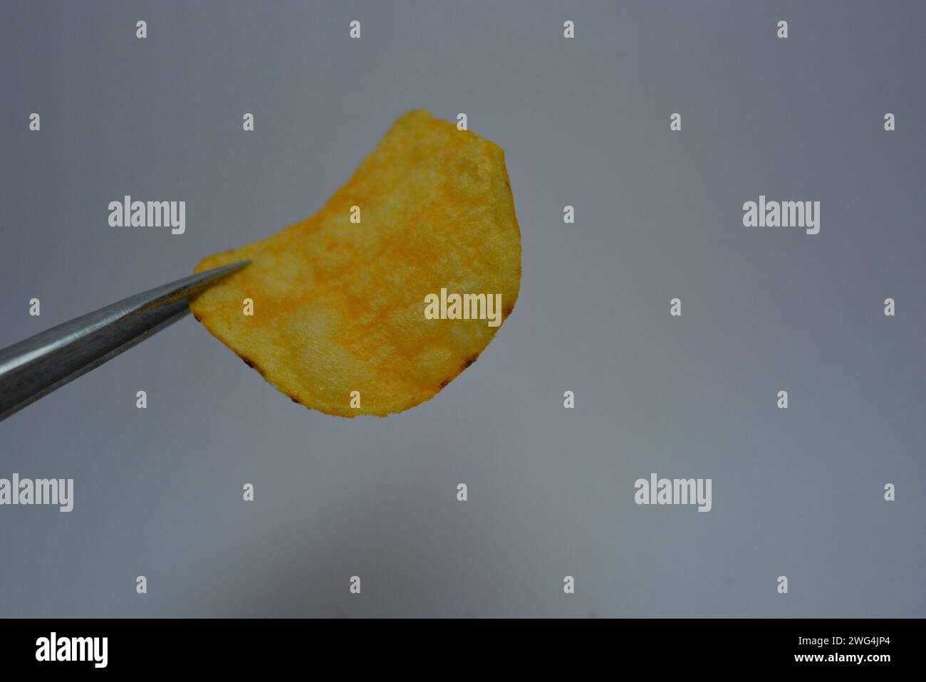 Snacks, fast and unhealthy food. Metallic, thin tweezers hold one salty ...