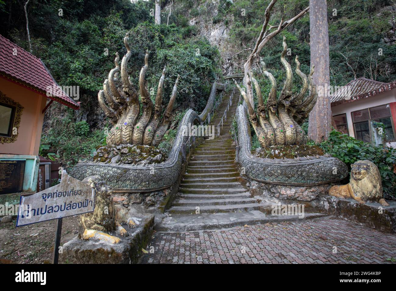 Stairs leading to a cave at the Wat Tham Pla Temple. Wat Tham Pla (Cave ...