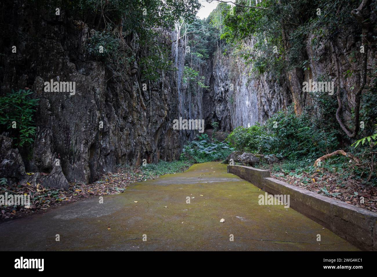 Path leading to a cave at the Wat Tham Pla Temple. Wat Tham Pla (Cave ...