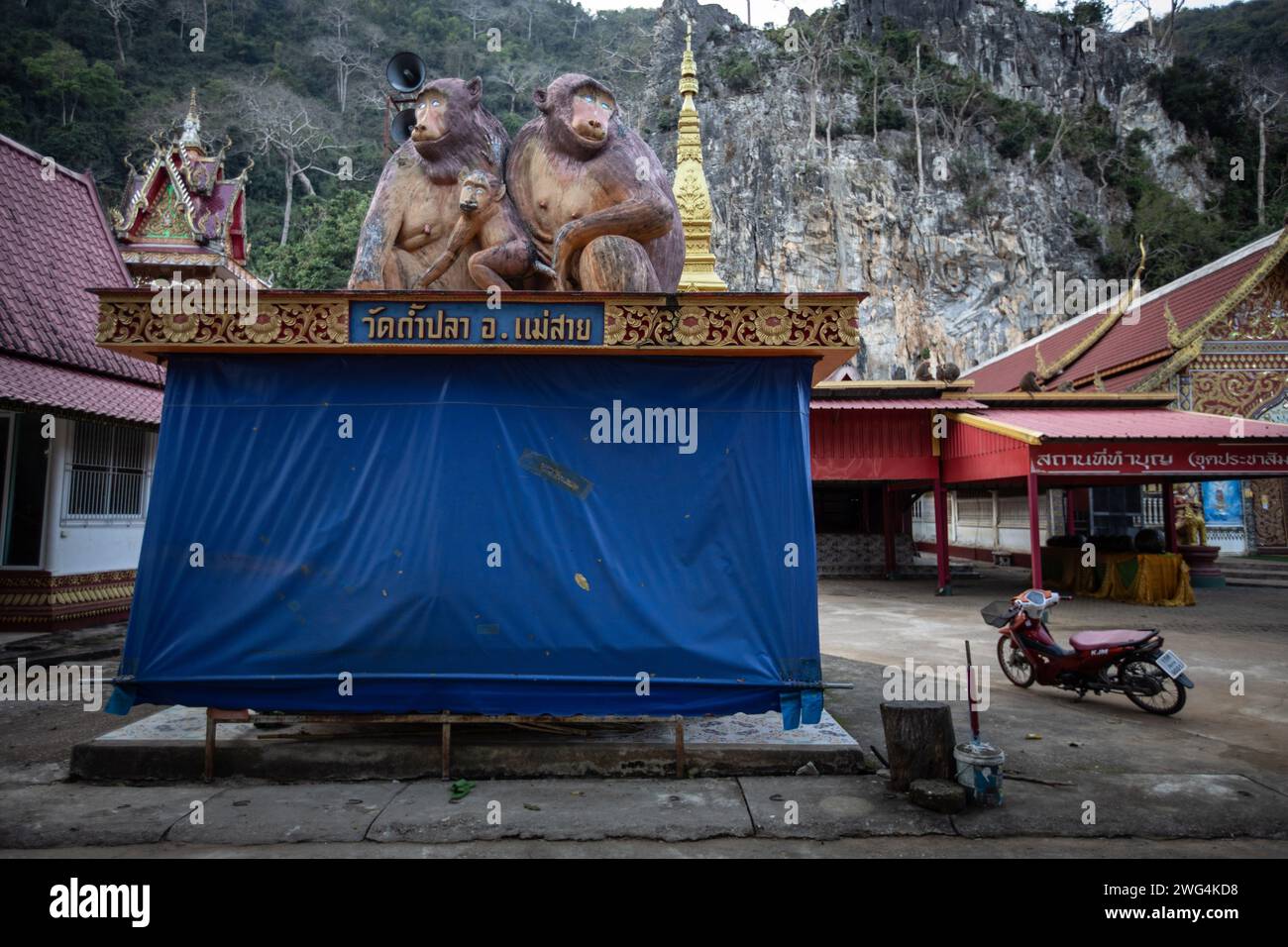 Cave fish temple hi-res stock photography and images - Alamy