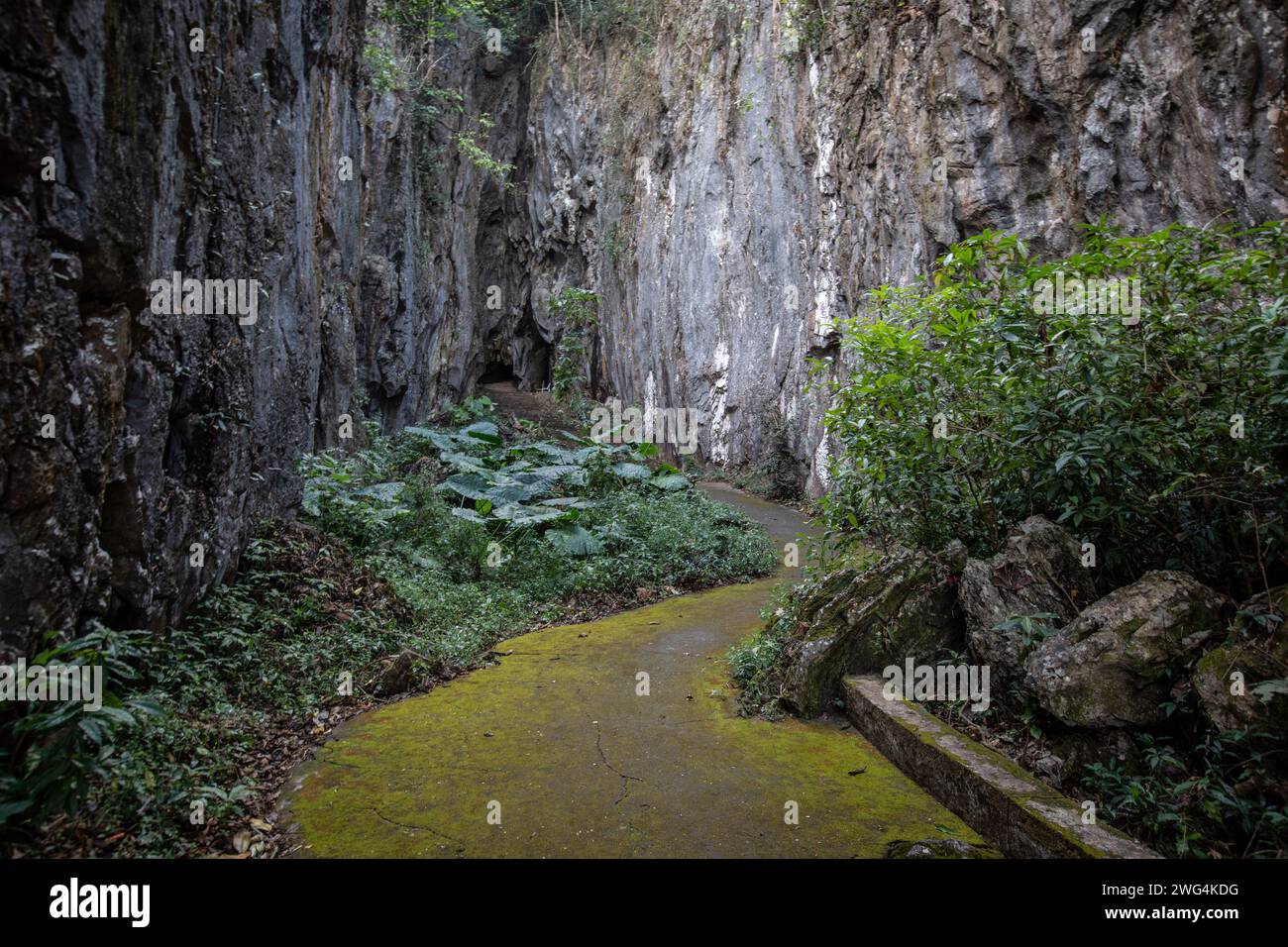 Path leading to a cave at the Wat Tham Pla Temple. Wat Tham Pla (Cave ...