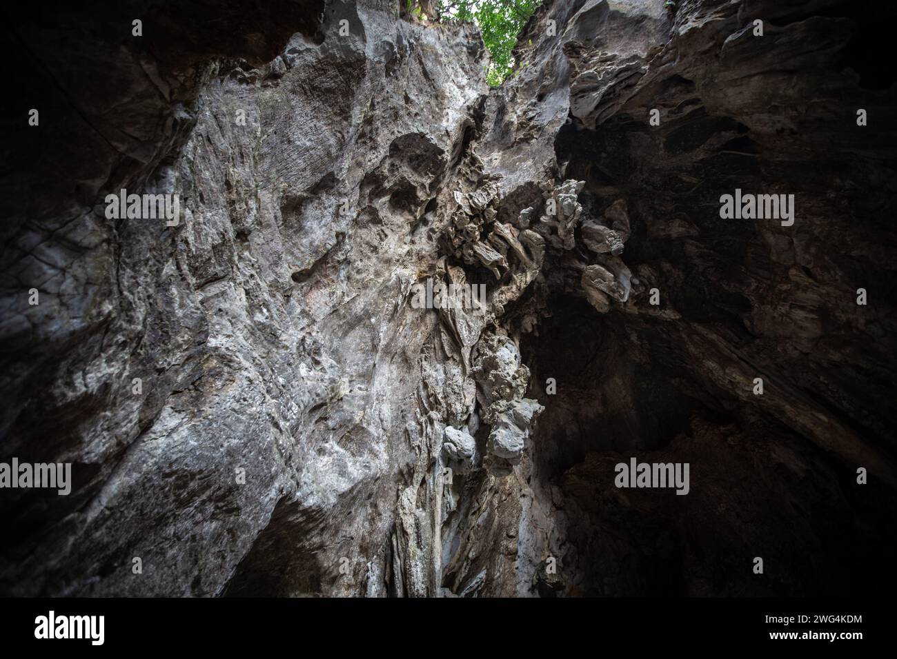 Rocks formation at the Wat Tham Pla Temple. Wat Tham Pla (Cave Fish ...