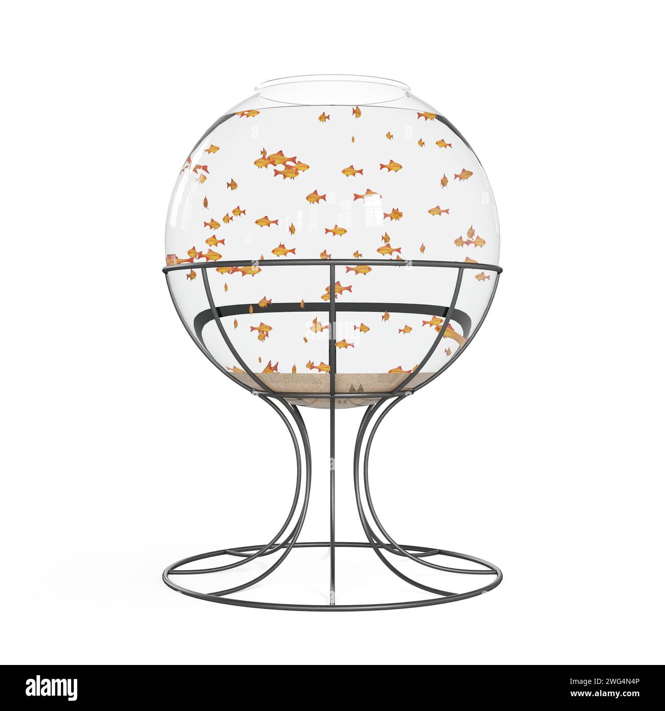 A 3D rendering of a fish tank on a white background Stock Photo - Alamy