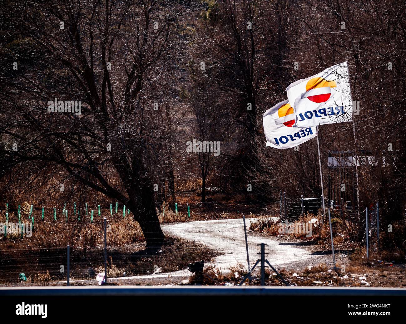 Two flags of an oil company in a forest with a road Stock Photo - Alamy