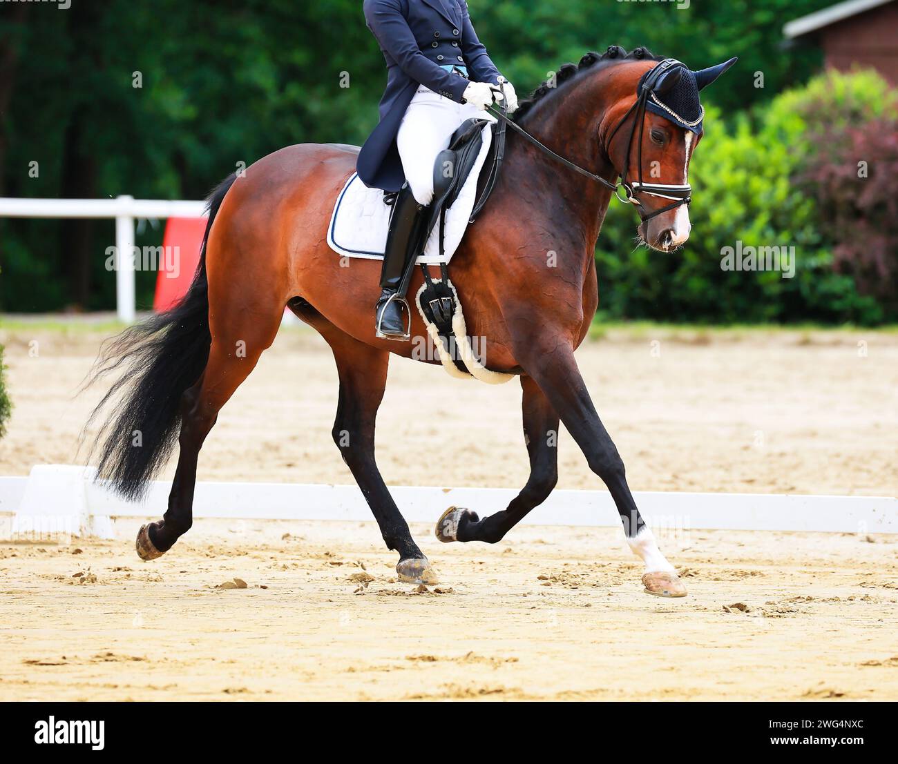 Equestrian discipline hi-res stock photography and images - Alamy