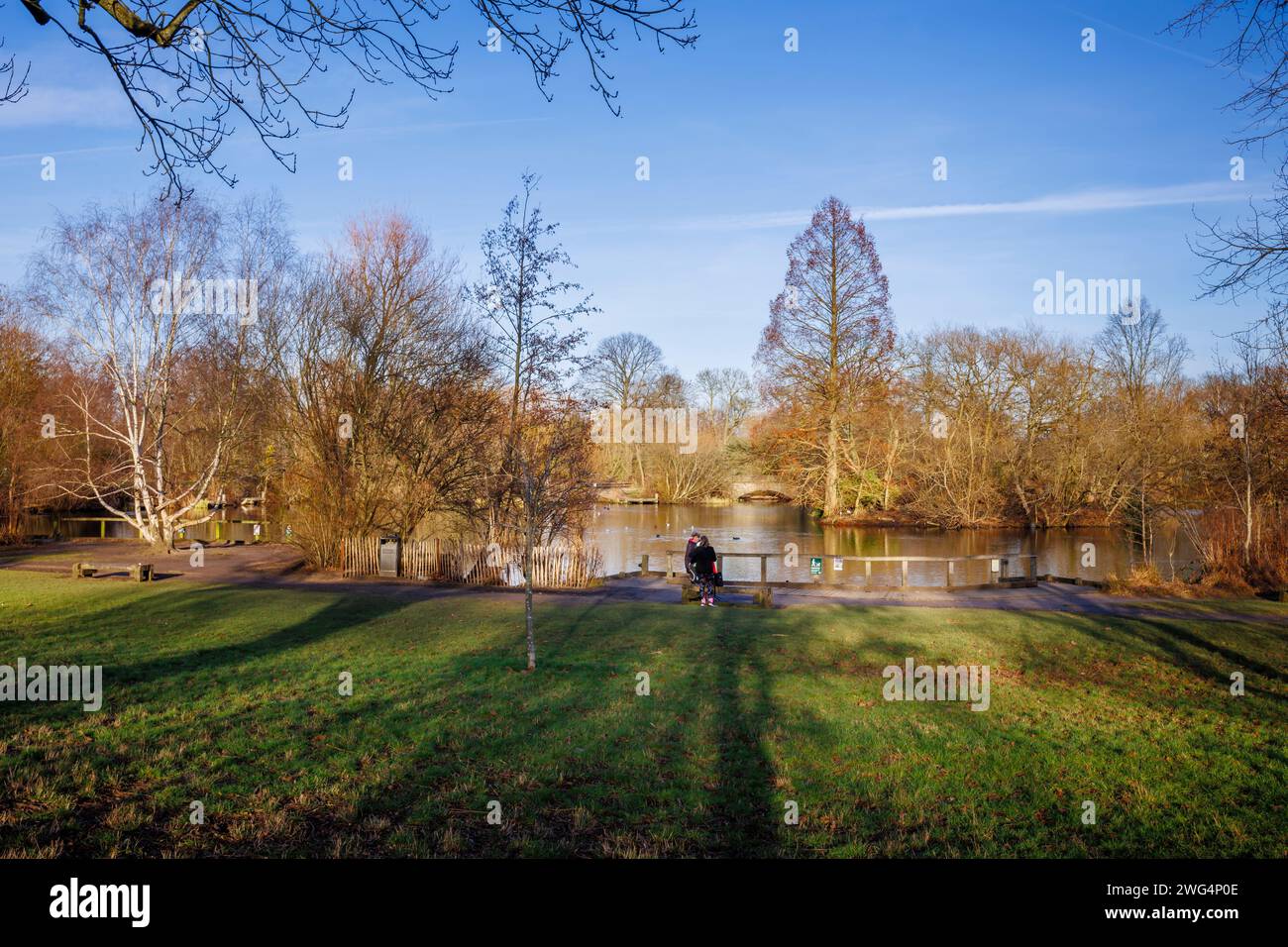 Wandsworth common lake hi-res stock photography and images - Alamy