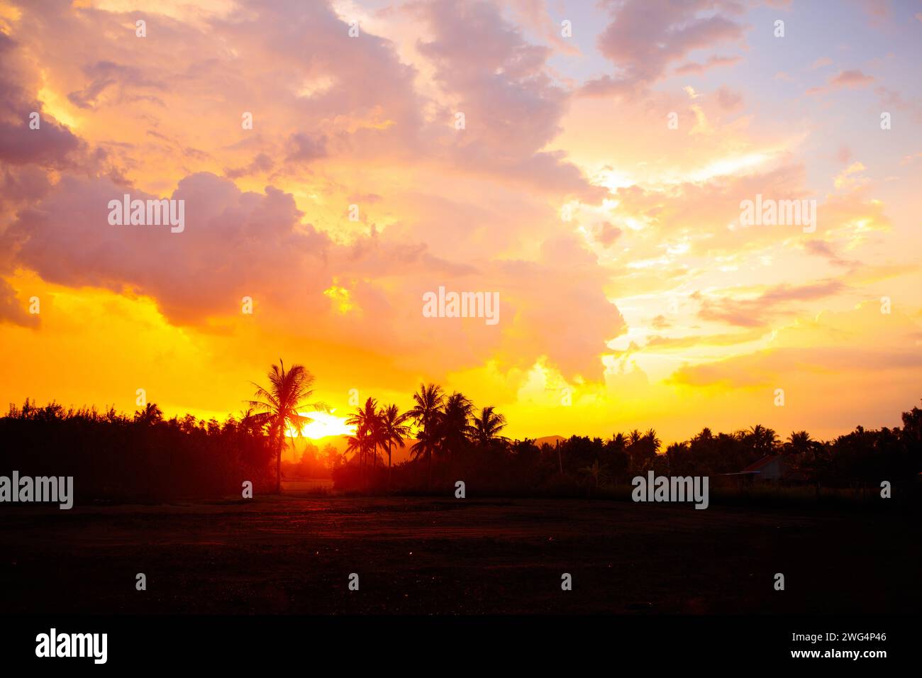 Sunset on tropical beach. Travel destination. Summer vacation on a ...