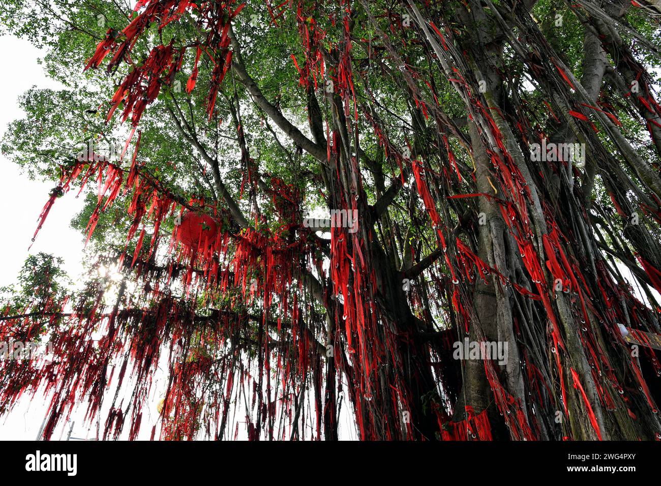 Sekinchan, Malaysia - April 15, 2022: Red ribbons with wishes hanging ...