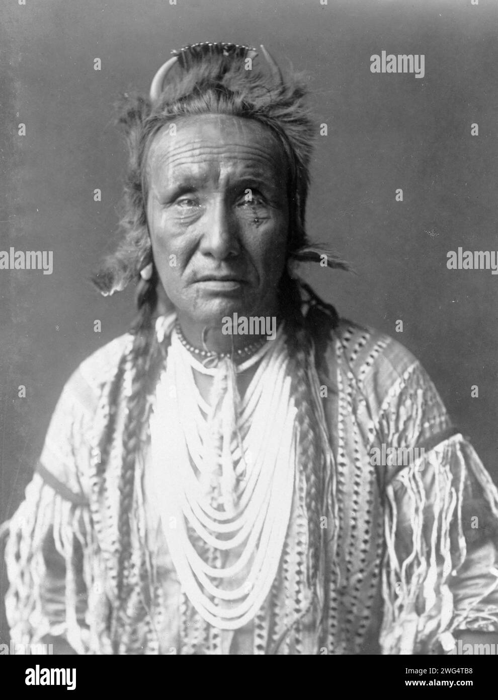 The Grizzly Bear, Piegan, half-length portrait, facing front, c1910 ...