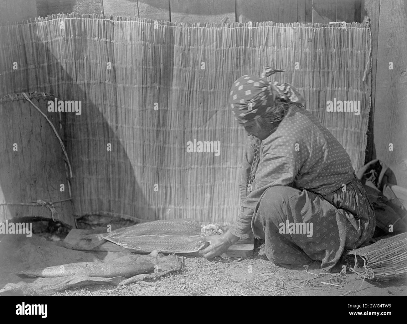 Preparing salmon-Wishram, c1910. Tlakluit Indian woman, sitting on ...