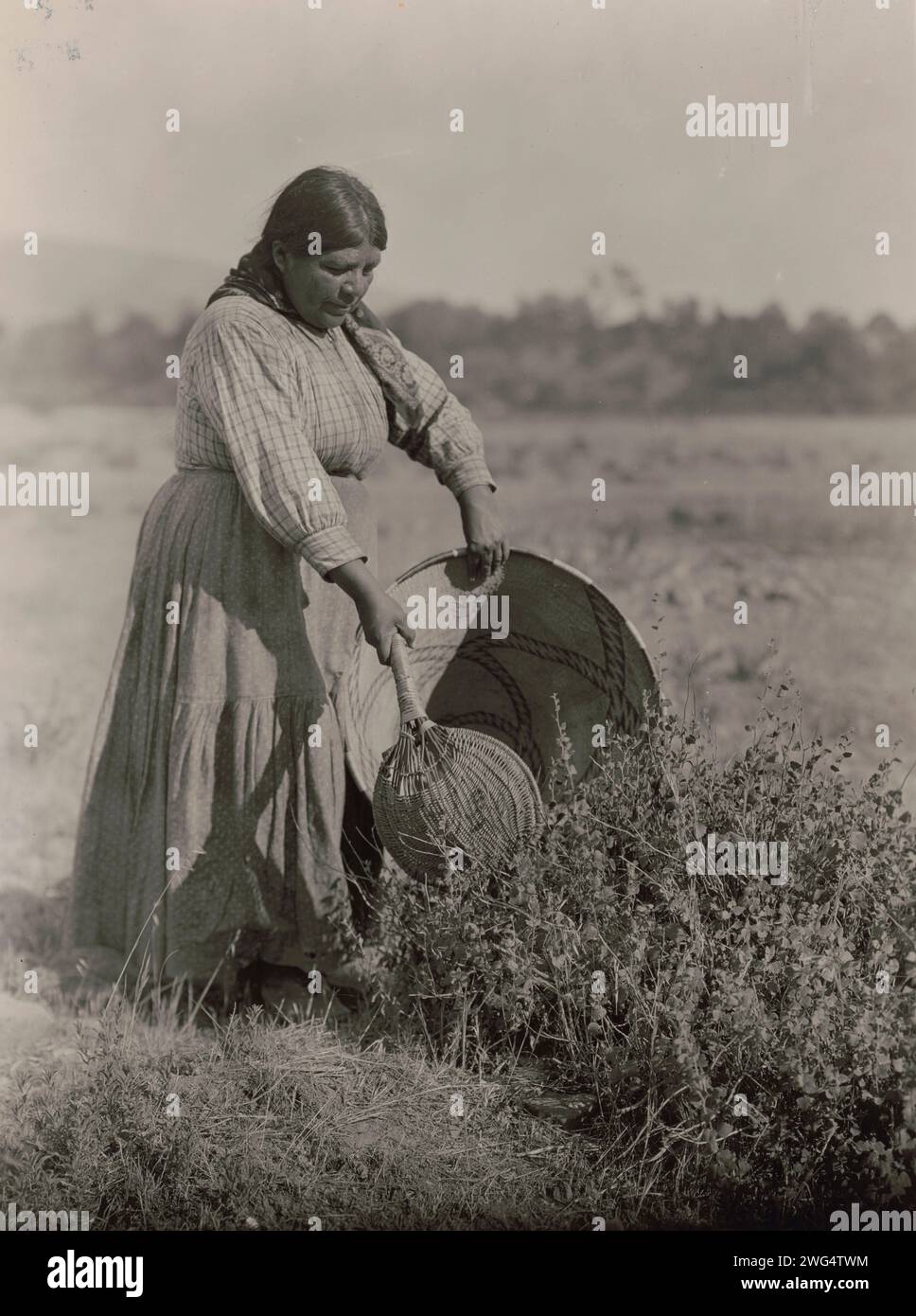 Joaquin cecilia hi-res stock photography and images - Alamy