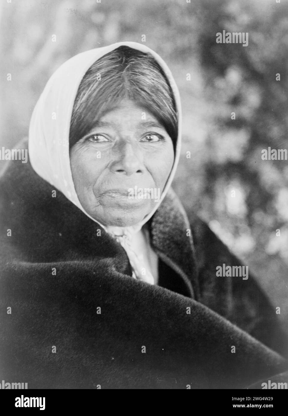 A Wappo matron, c1924. Wappo woman, head-and-shoulders portrait, facing ...