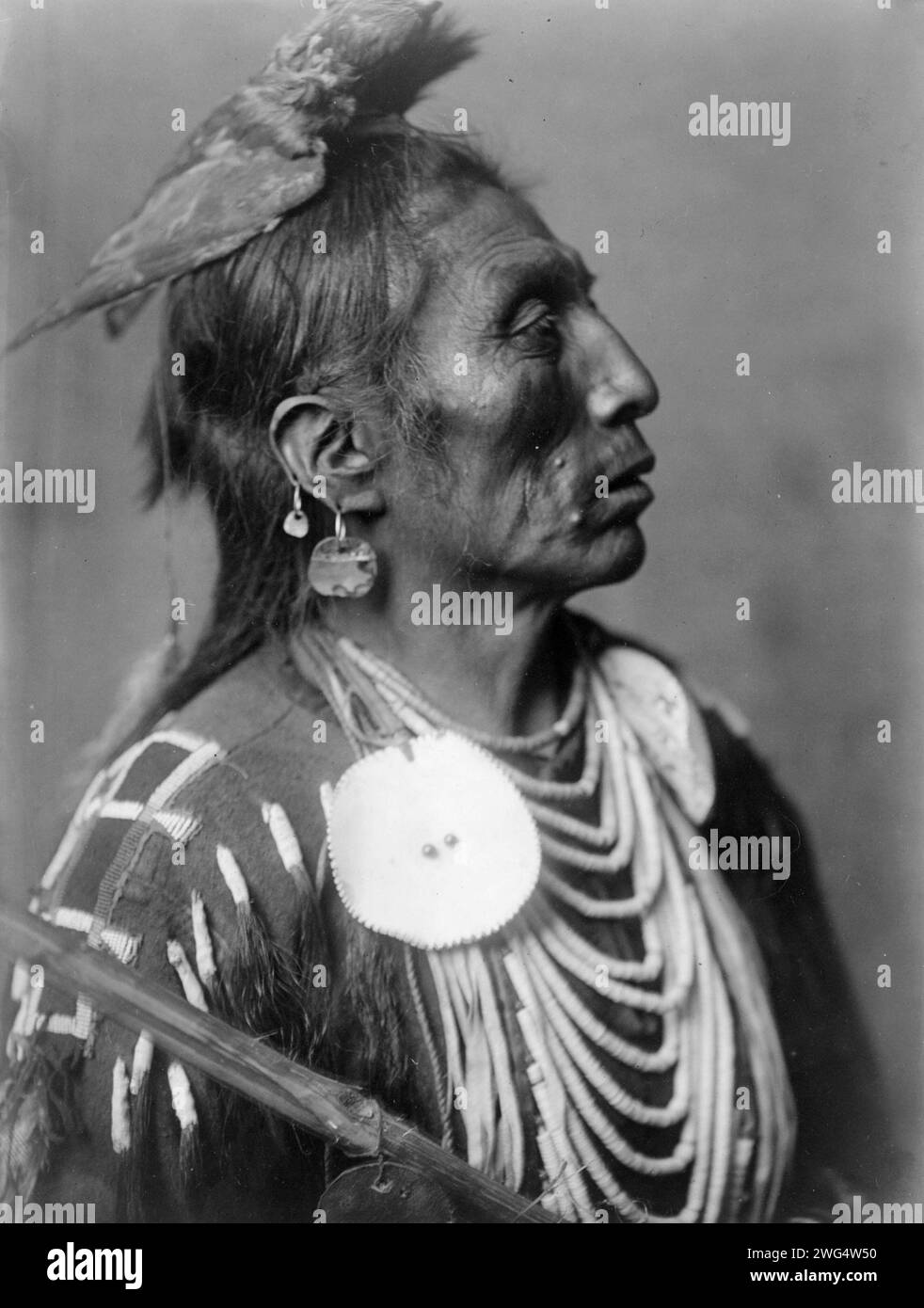 Animal scalp Black and White Stock Photos & Images - Alamy