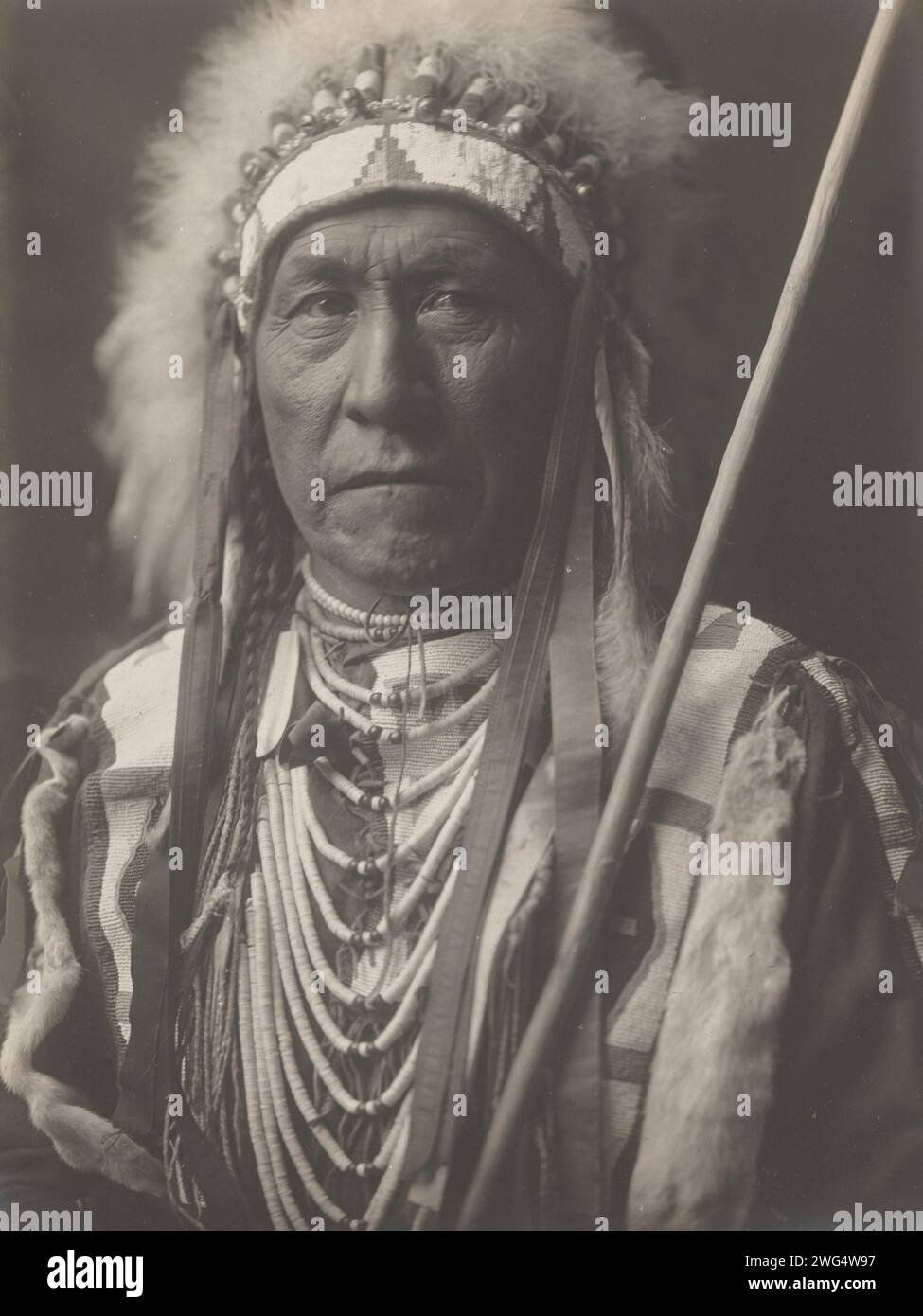 Plain Owl, 1908. Photograph shows head-and-shoulders portrait of Plain ...