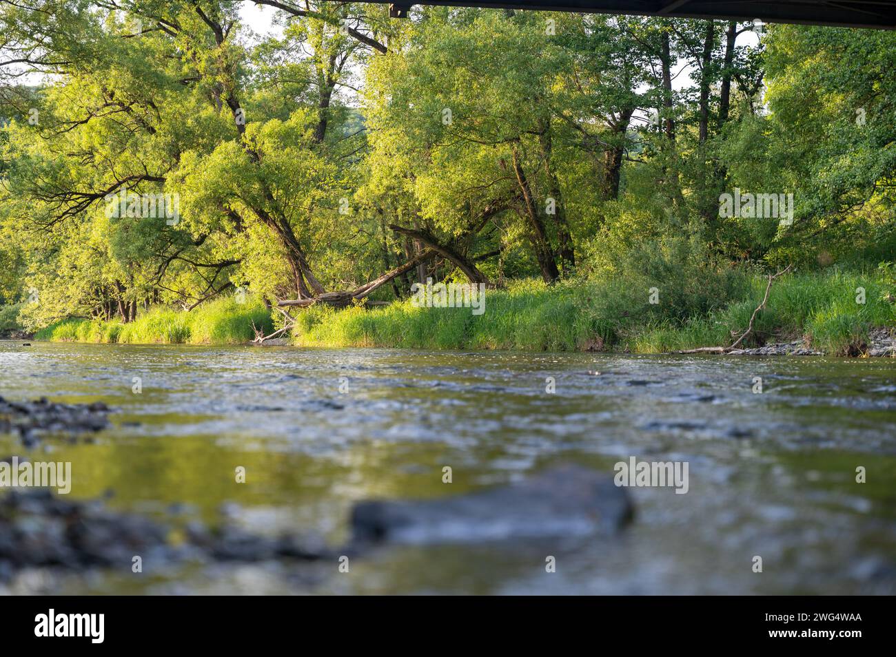 The Eder - A river in Germany in a green landscape with a blurred ...