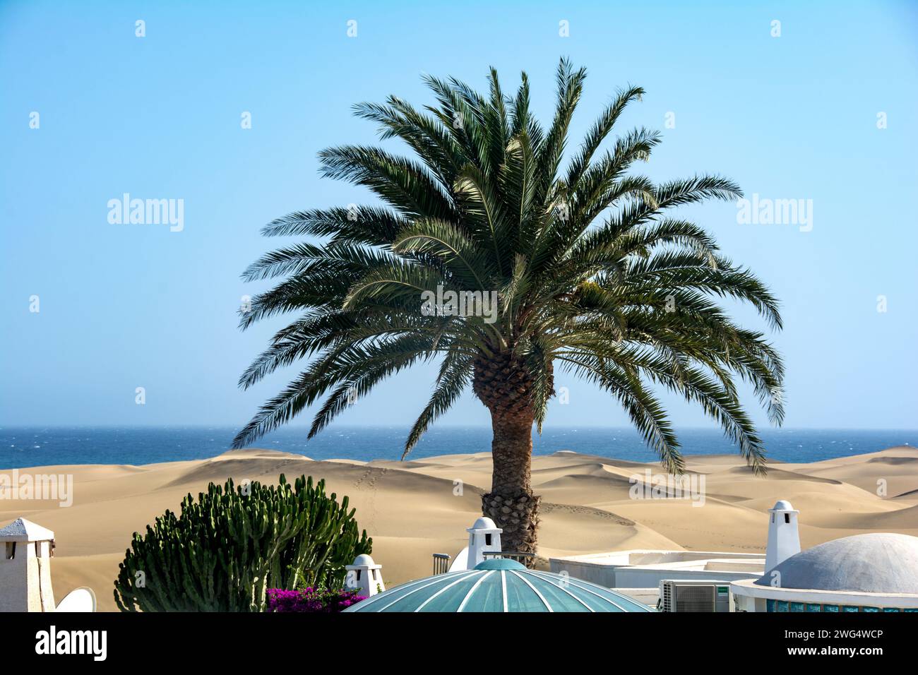 In the dunes of Maspalomas on Gran Canaria in Spain. View of the sea ...