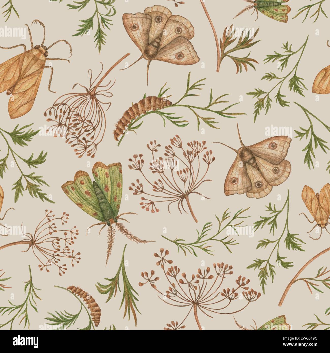 Beetles painting hi-res stock photography and images - Alamy