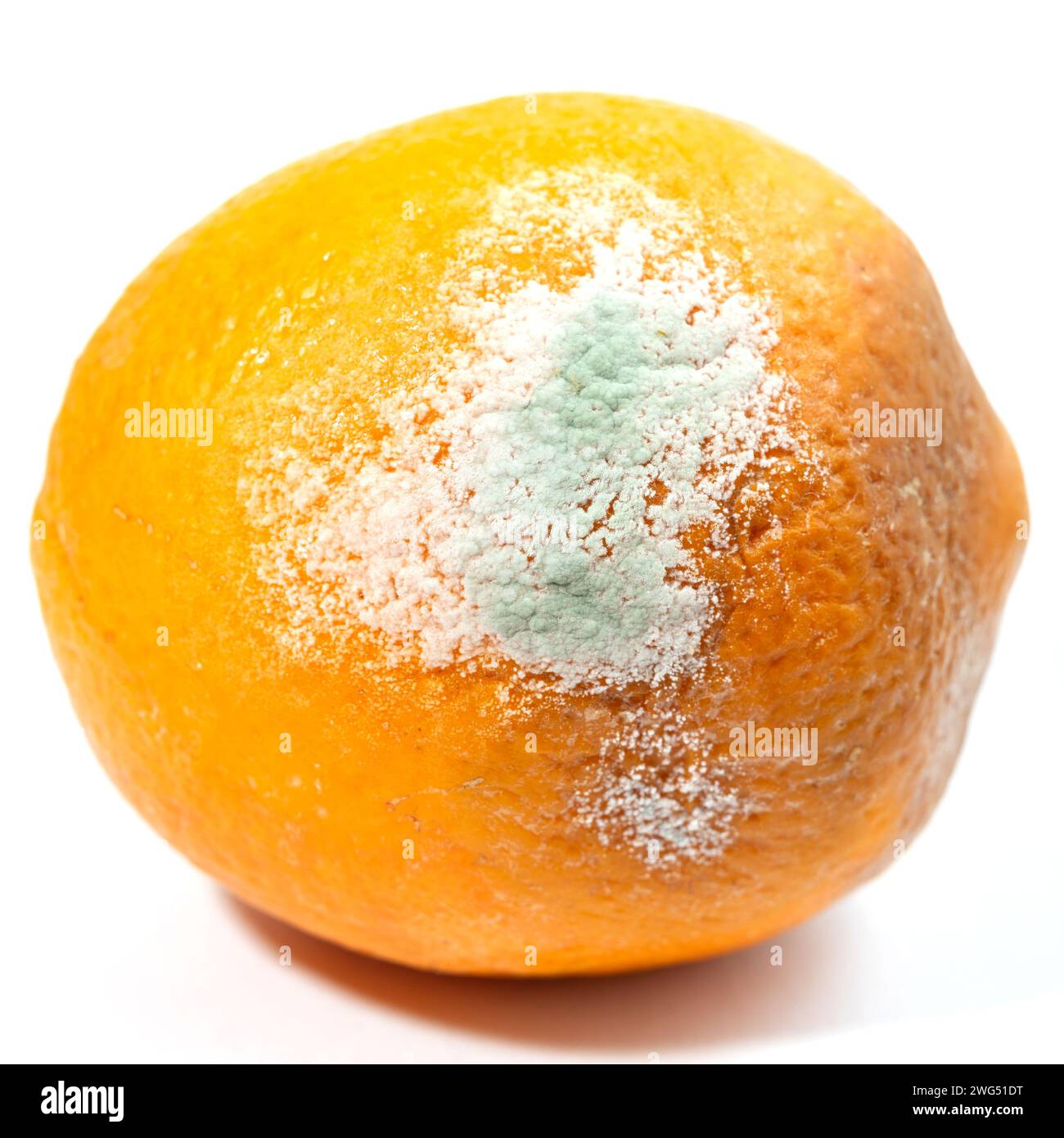 Moldy fruit hi-res stock photography and images - Alamy