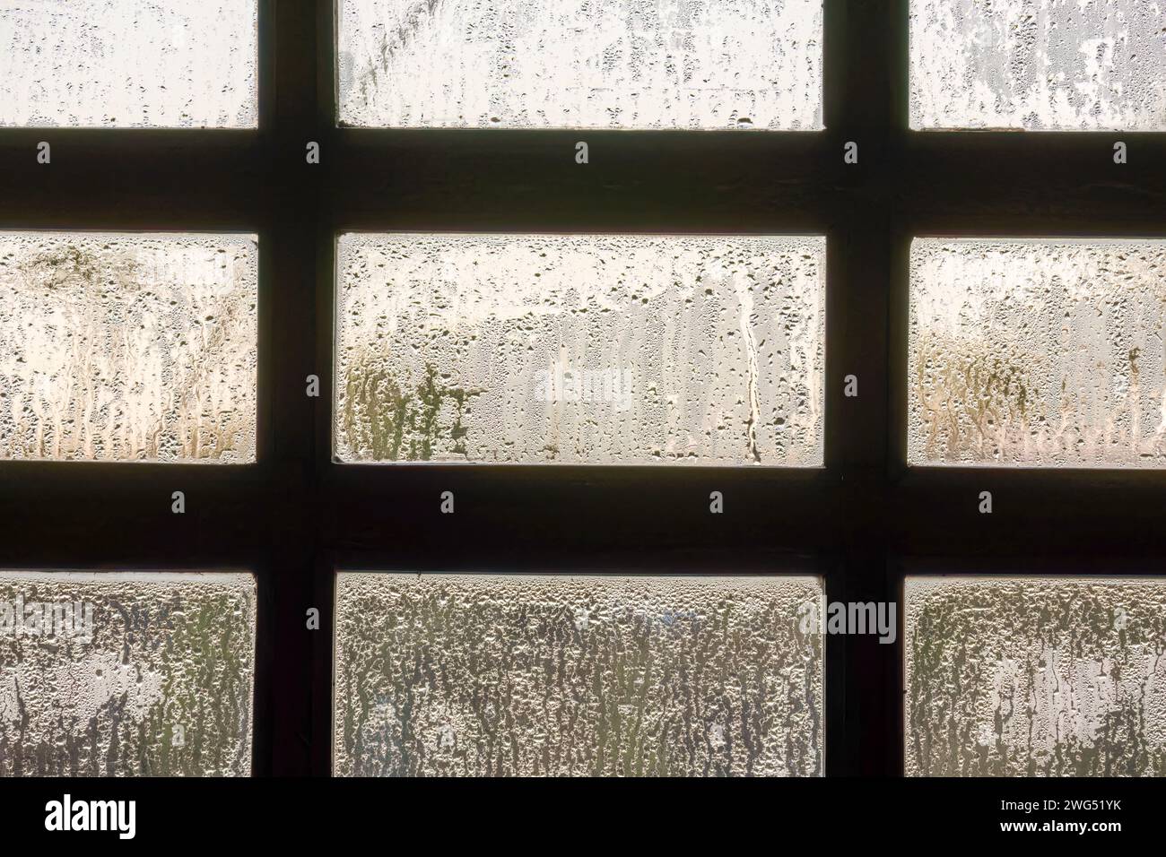 A paneled wooden window covered with the drops of early dew, in a farm ...