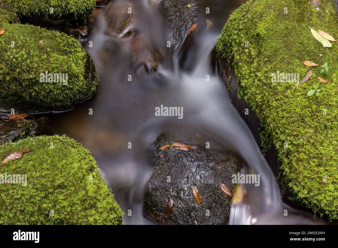 Long-exposure photograph of the stream and mossy rocks of a creek in ...
