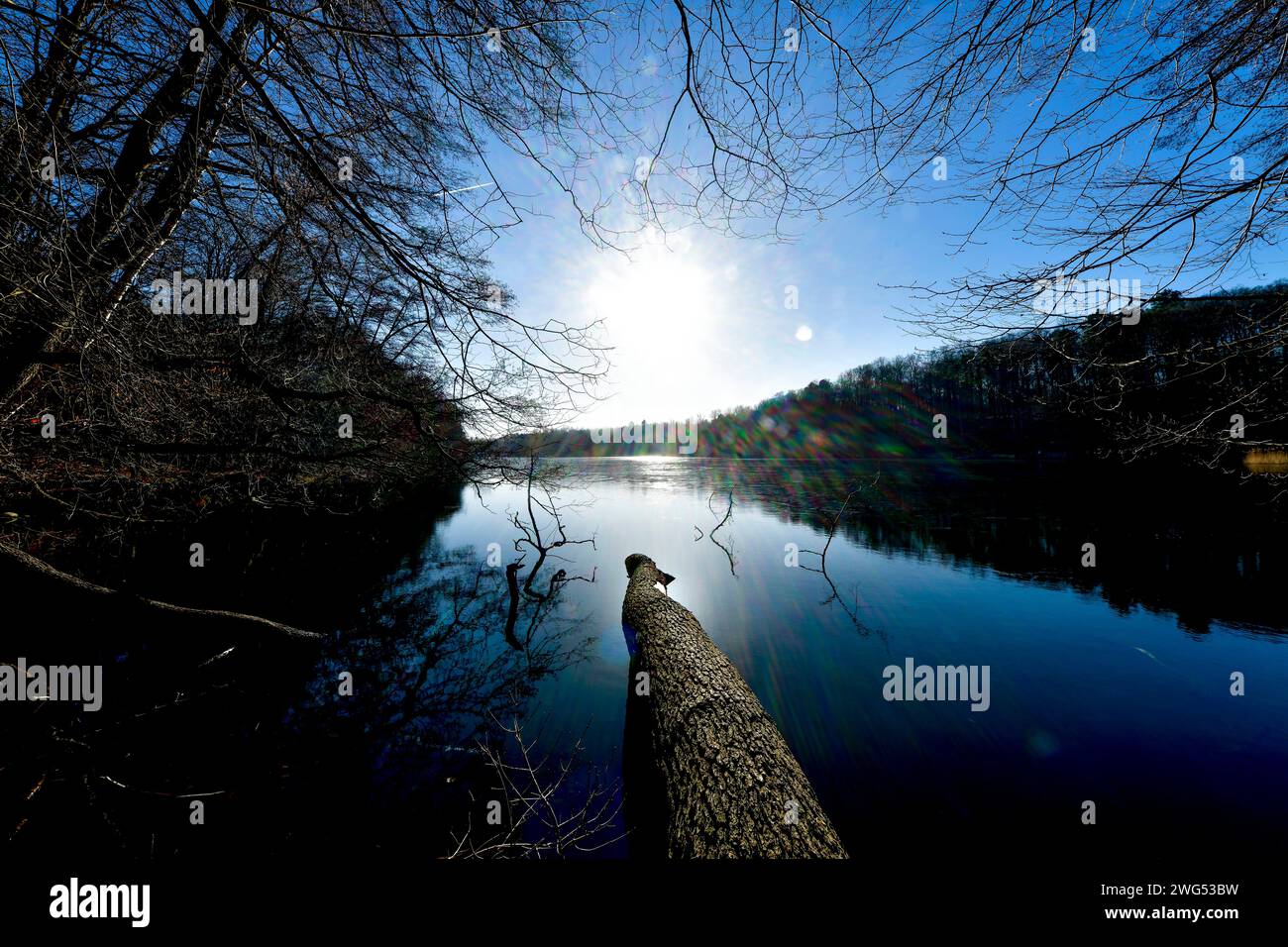Blick am 28. Januar 2024 auf den Hellsee bei Lanke in Brandenburg. Foto ...