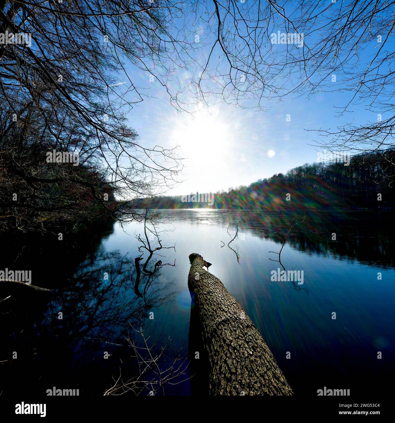 Blick am 28. Januar 2024 auf den Hellsee bei Lanke in Brandenburg. Foto ...